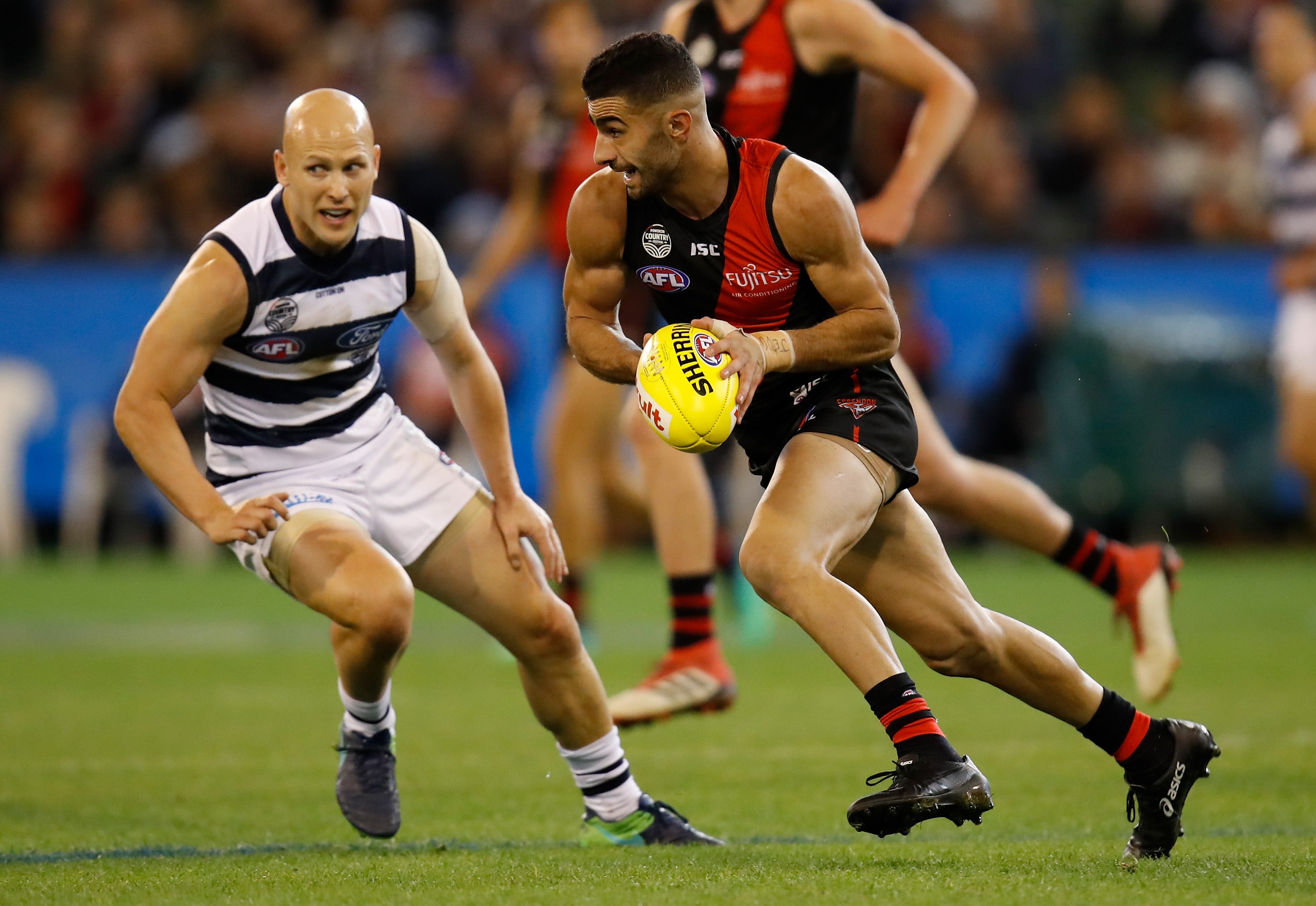 Match preview: Geelong v Essendon
