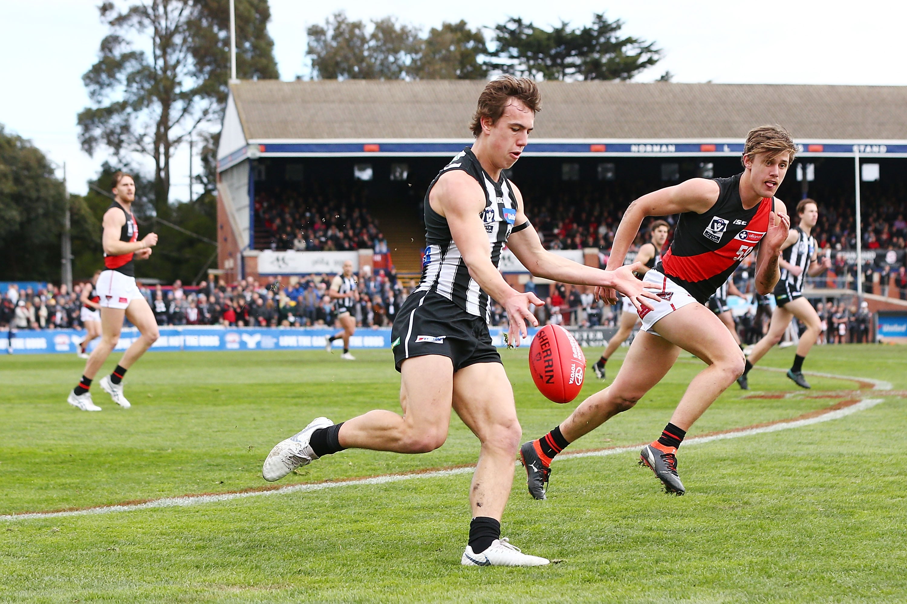 Magpies push finals case, and Goldy holds hope