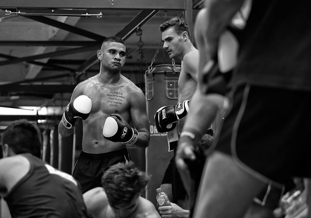 Boxing Lions: Amazing photos from Michael Willson