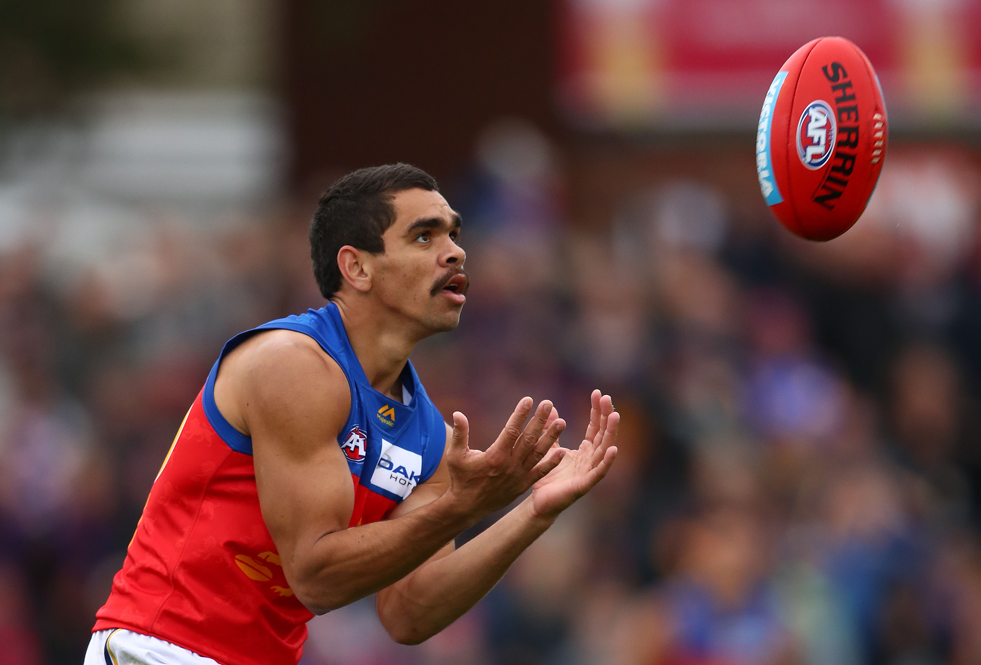 Match preview: Brisbane v Adelaide