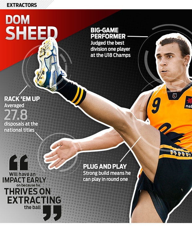 Draft in focus: Dom Sheed