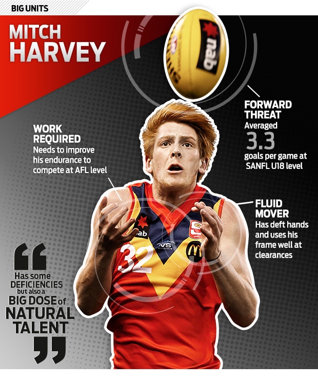12 days to the draft: Meet gun prospect Mitch Harvey