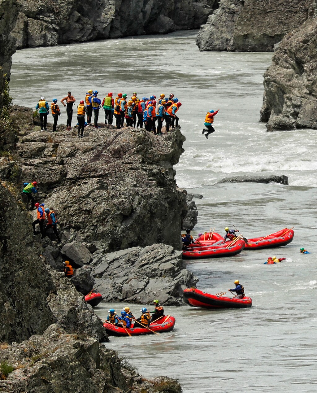 GALLERY: Stunning pics of Hawks in NZ