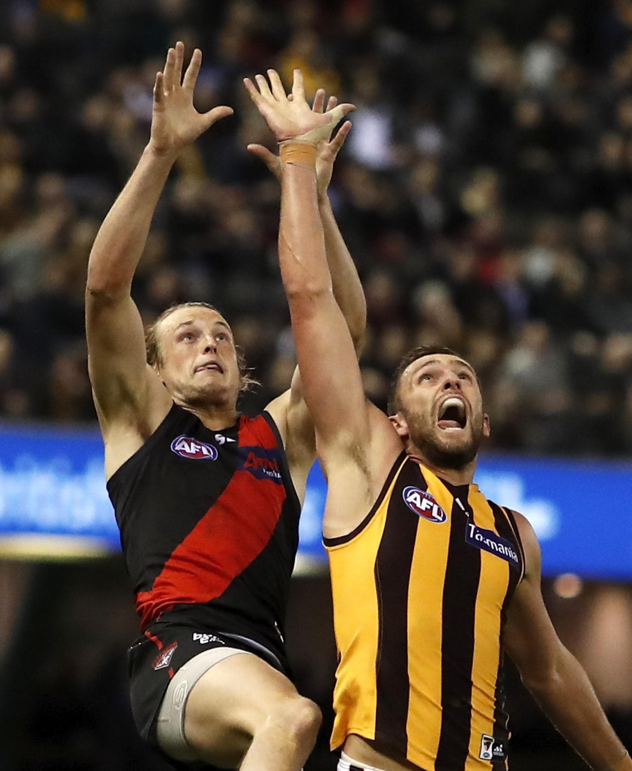 Young Don hopes to repay the faith after breakout year