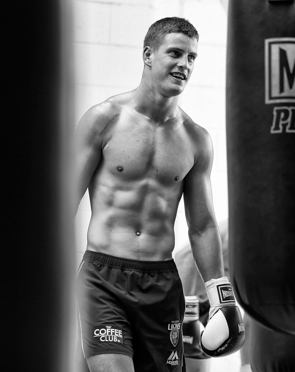 Boxing Lions: Amazing photos from Michael Willson