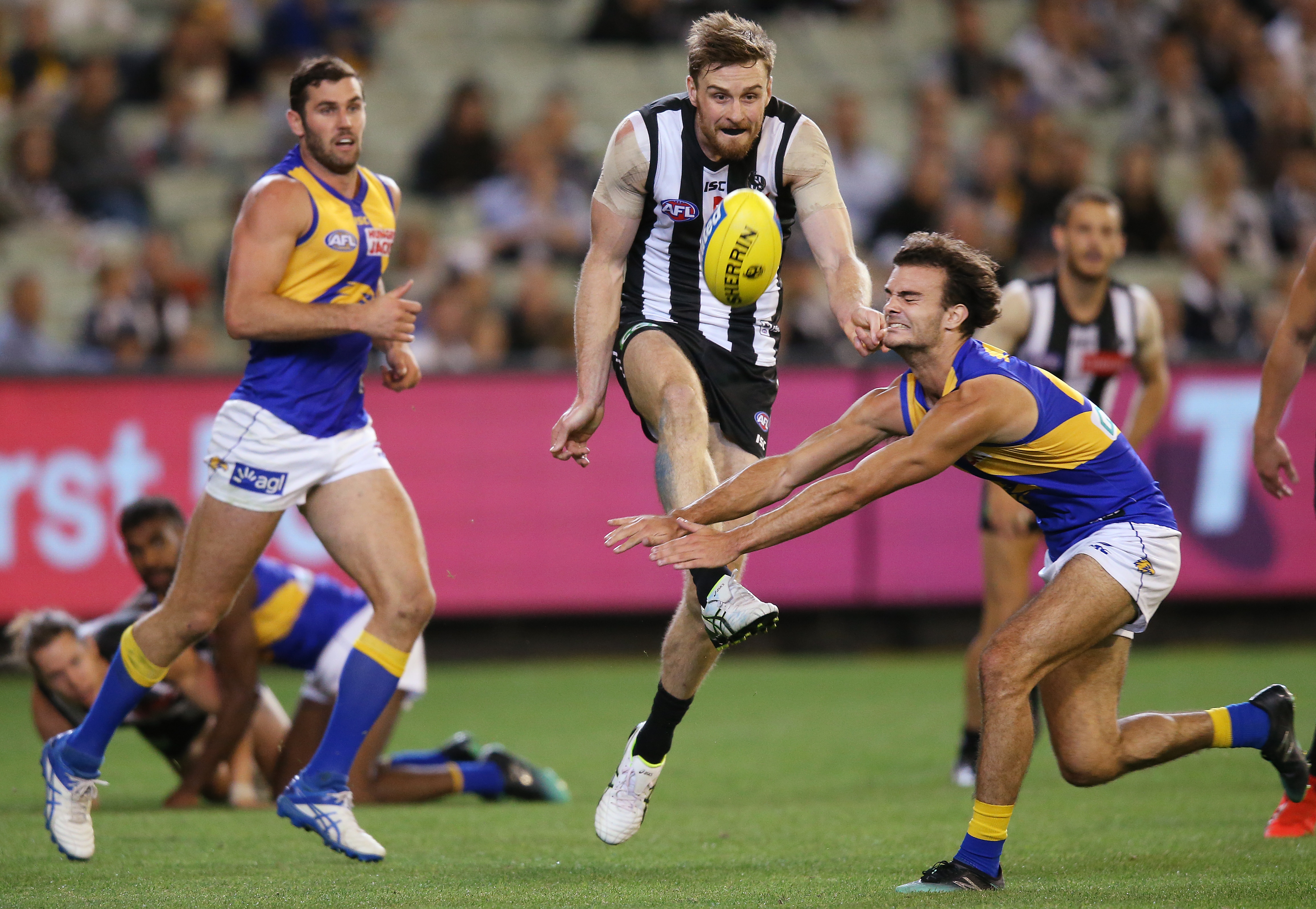 Match preview: Collingwood v Western Bulldogs