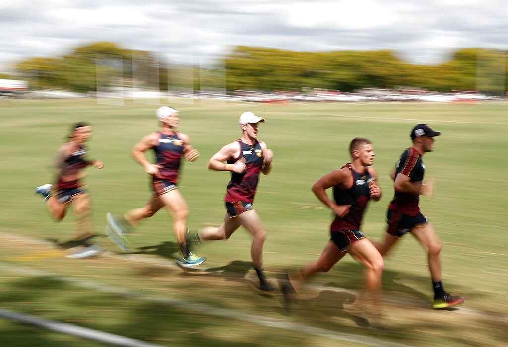 Boxing Lions: Amazing photos from Michael Willson