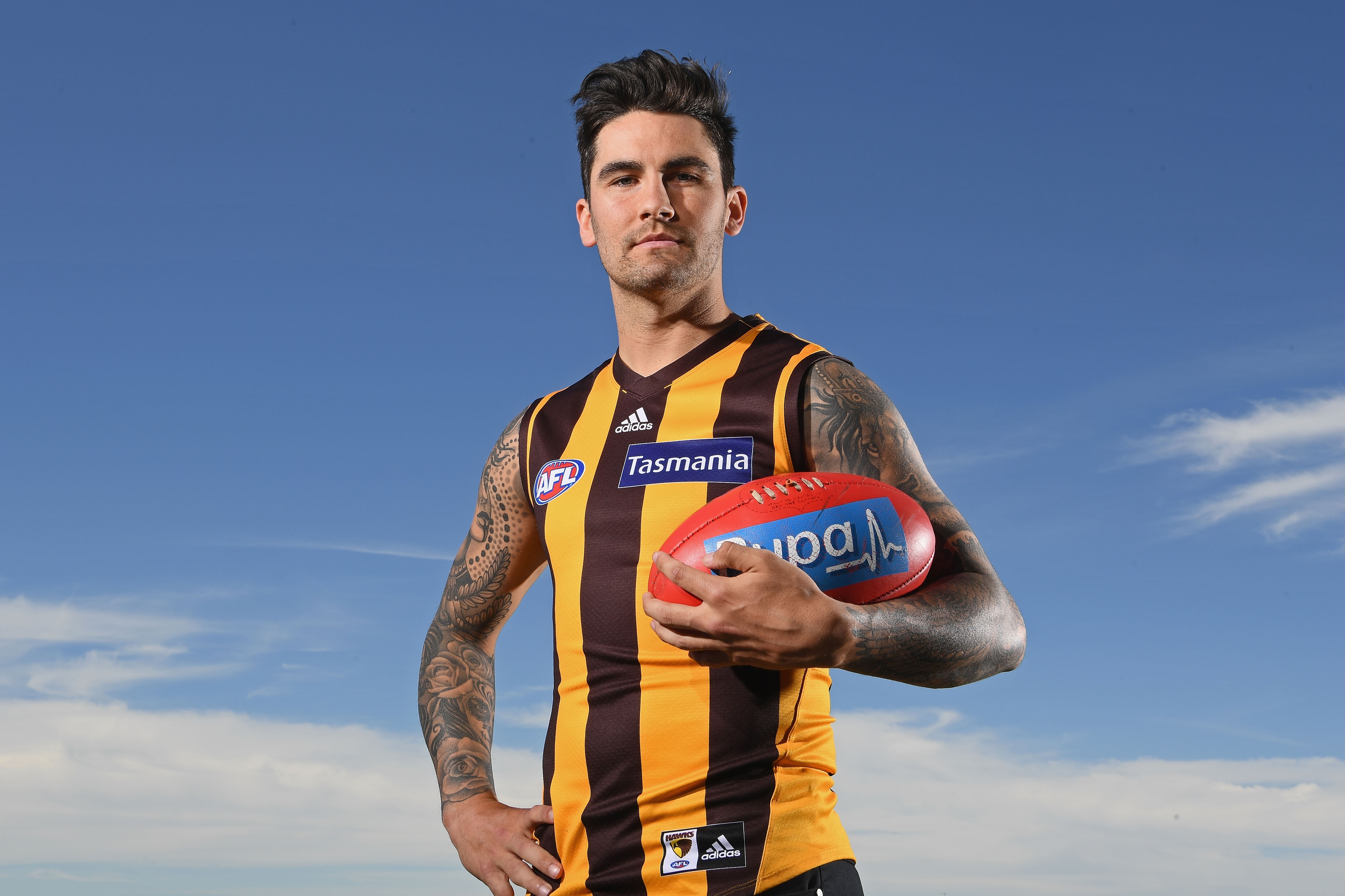 Match preview: Hawthorn v Western Bulldogs