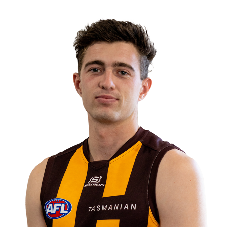 Brisbane Lions News - AFL 2024 - Zero Hanger