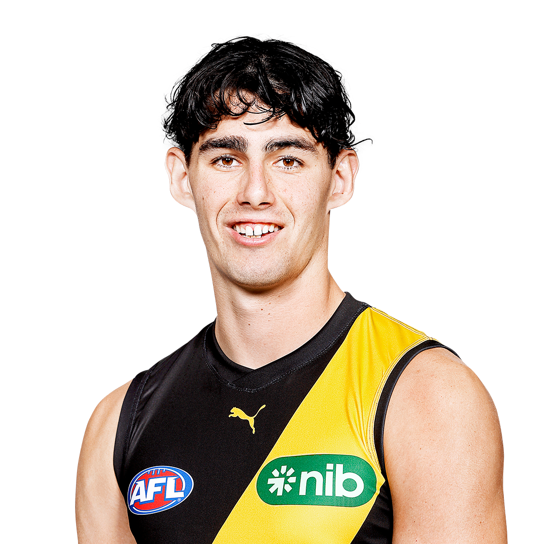 Richmond Tigers News - AFL 2023 - Zero Hanger
