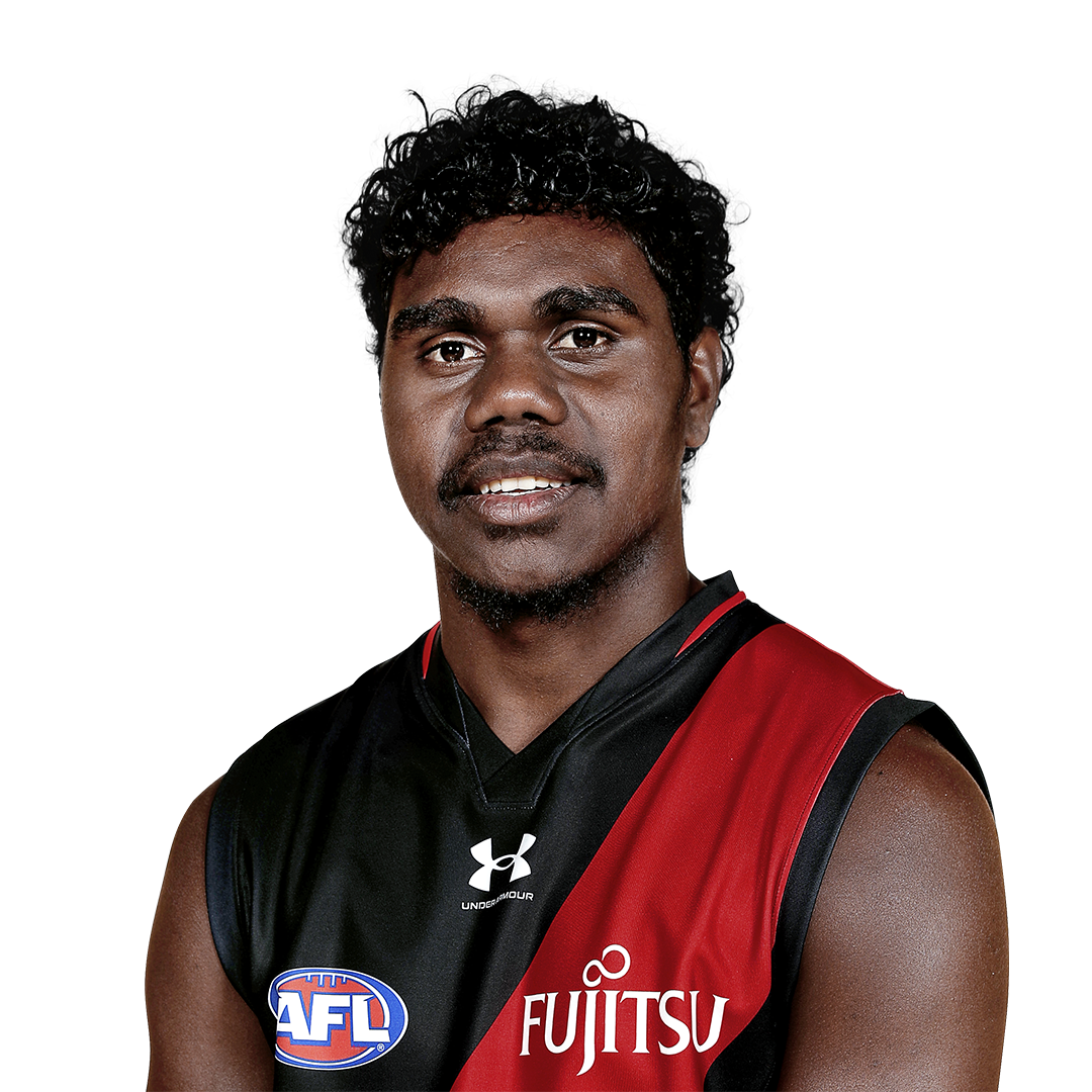 Essendon Bombers News - AFL 2023 - Zero Hanger