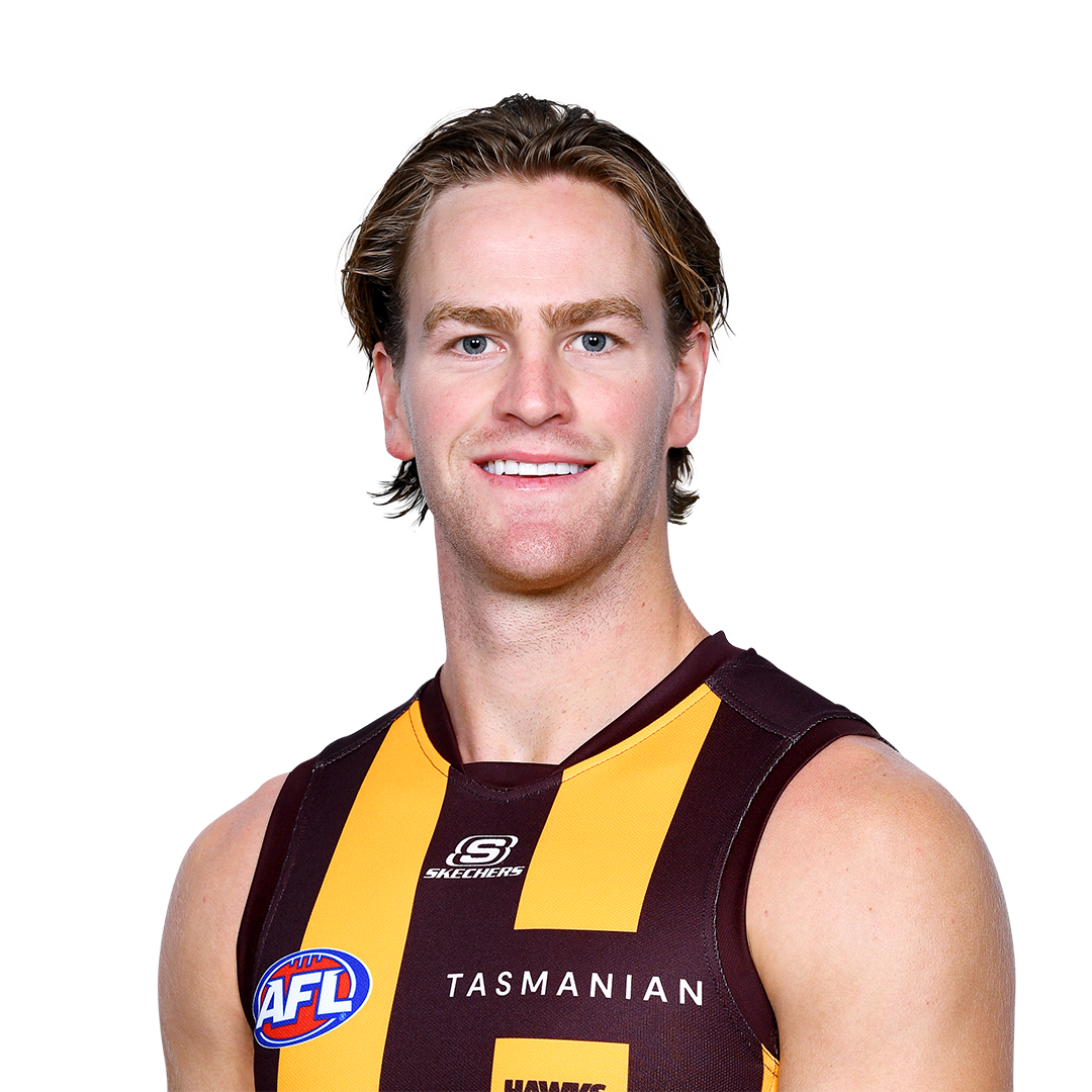 Hawthorn Hawks News - AFL 2024 - Zero Hanger