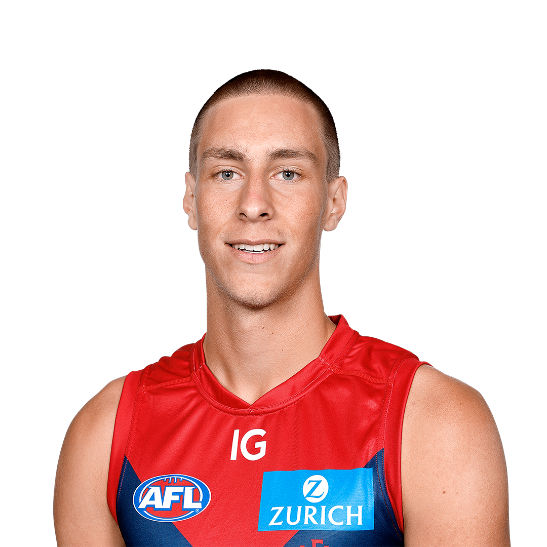 Melbourne Demons News - AFL 2025 - Zero Hanger