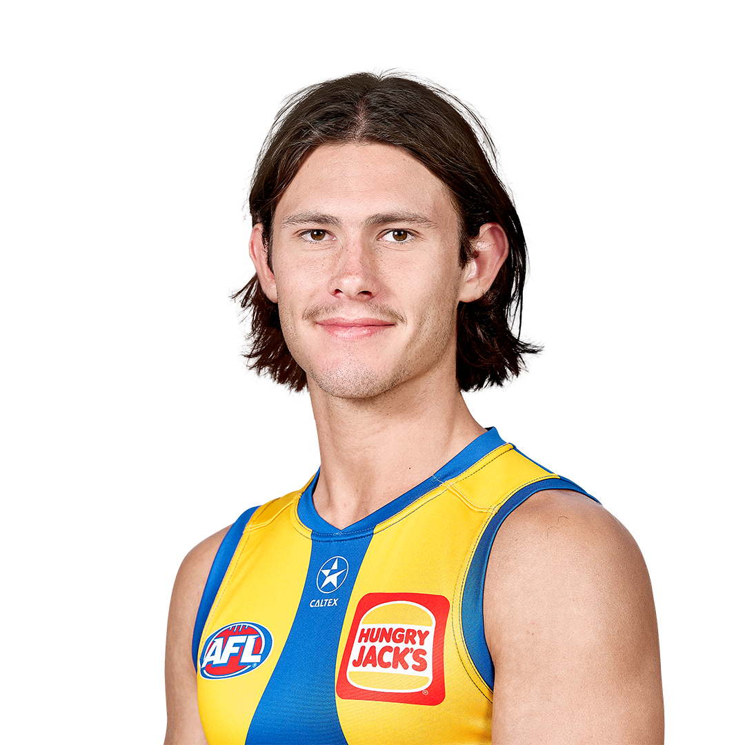 Melbourne Demons News - AFL 2025 - Zero Hanger