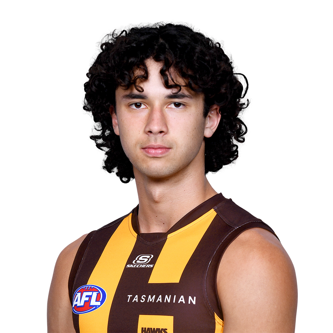 Hawthorn Hawks News - AFL 2025 - Zero Hanger