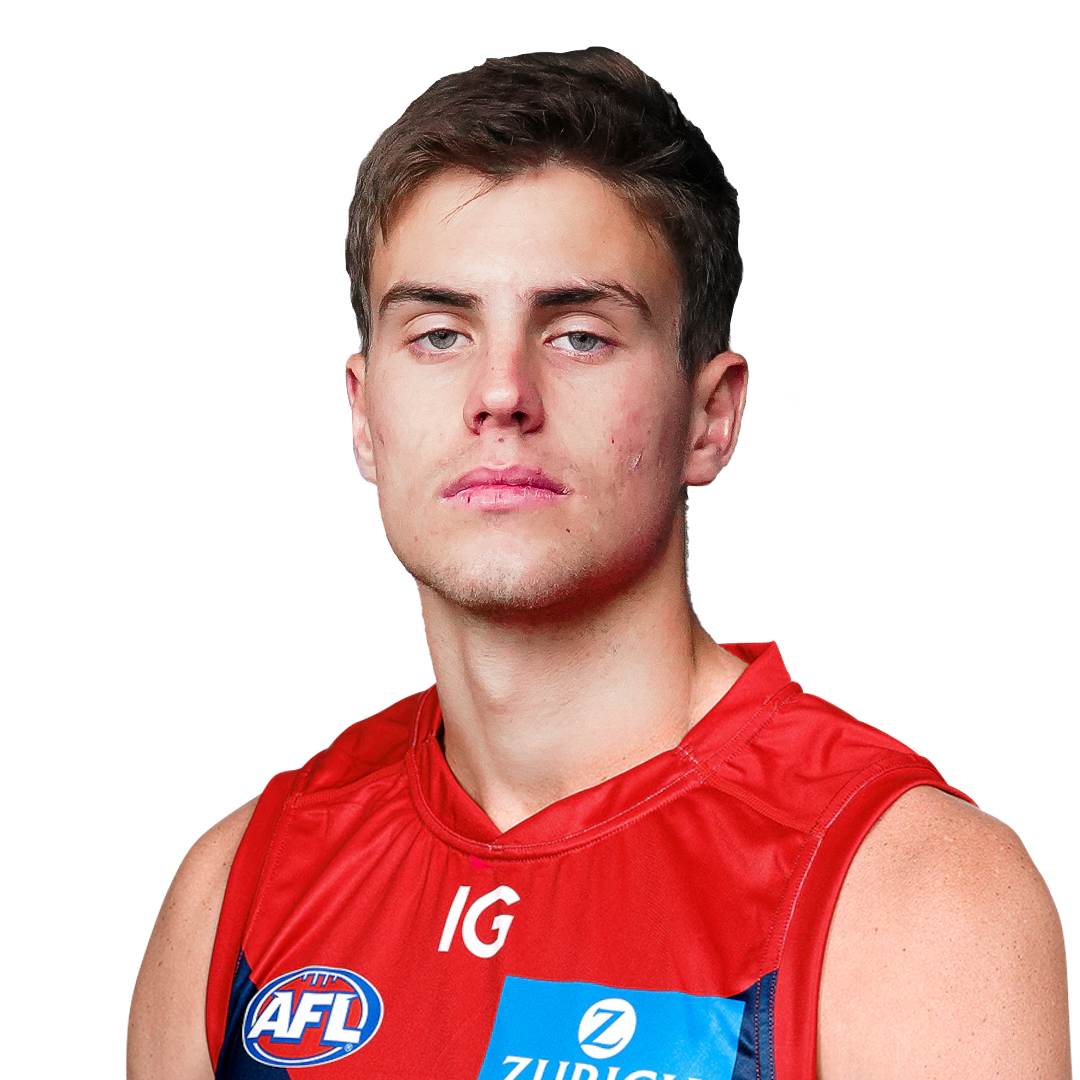 Melbourne Demons News - AFL 2025 - Zero Hanger