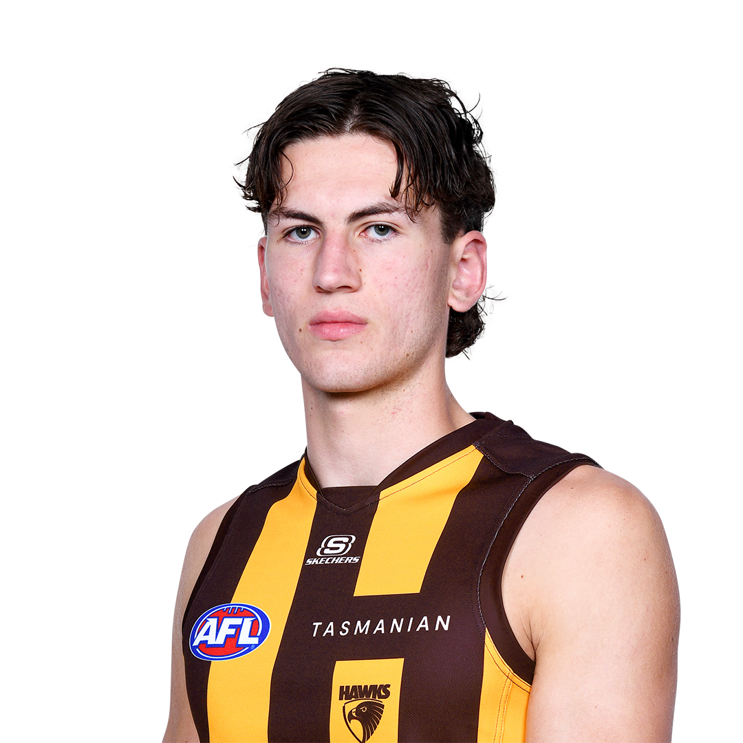 Hawthorn Hawks News - AFL 2024 - Zero Hanger