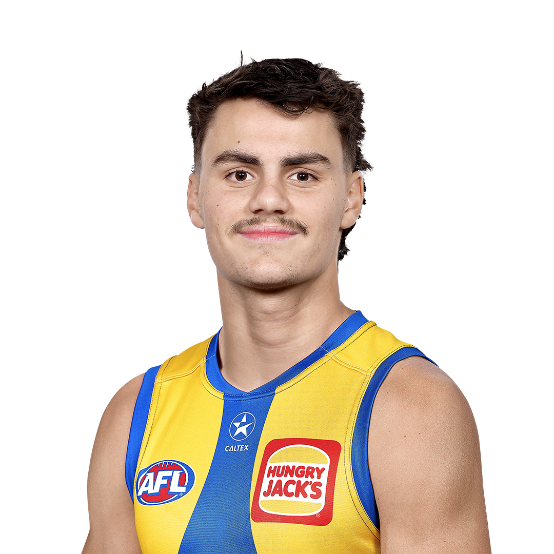 West Coast Eagles News - AFL 2024 - Zero Hanger