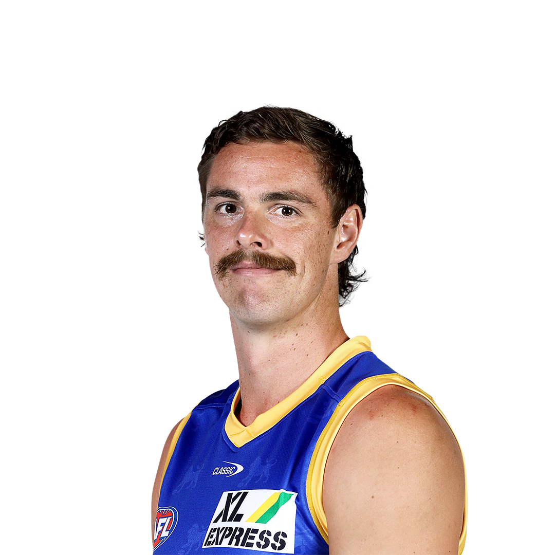 Joe Daniher | Brisbane Lions | Player Profile | SuperCoach & AFL ...
