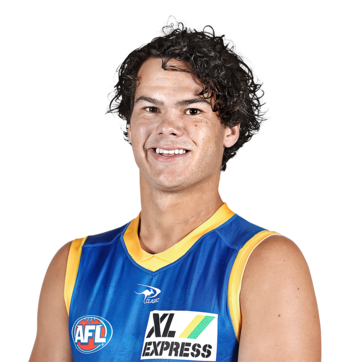 Brisbane Lions News - AFL 2023 - Zero Hanger