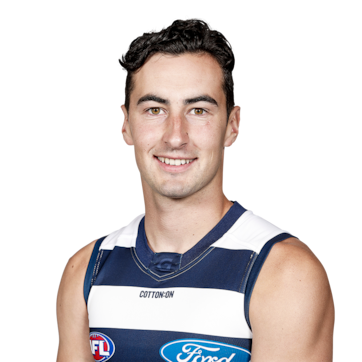 Geelong Cats News - AFL 2023 - Zero Hanger