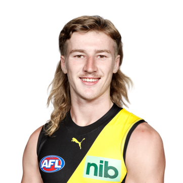 Richmond Tigers News - AFL 2023 - Zero Hanger