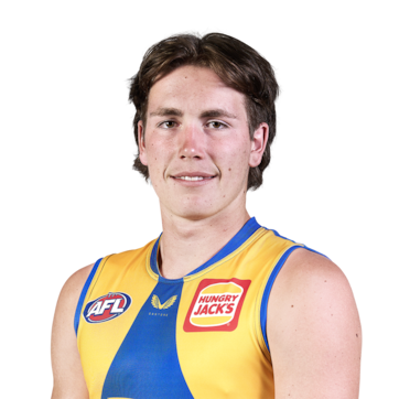 West Coast Eagles News - AFL 2023 - Zero Hanger