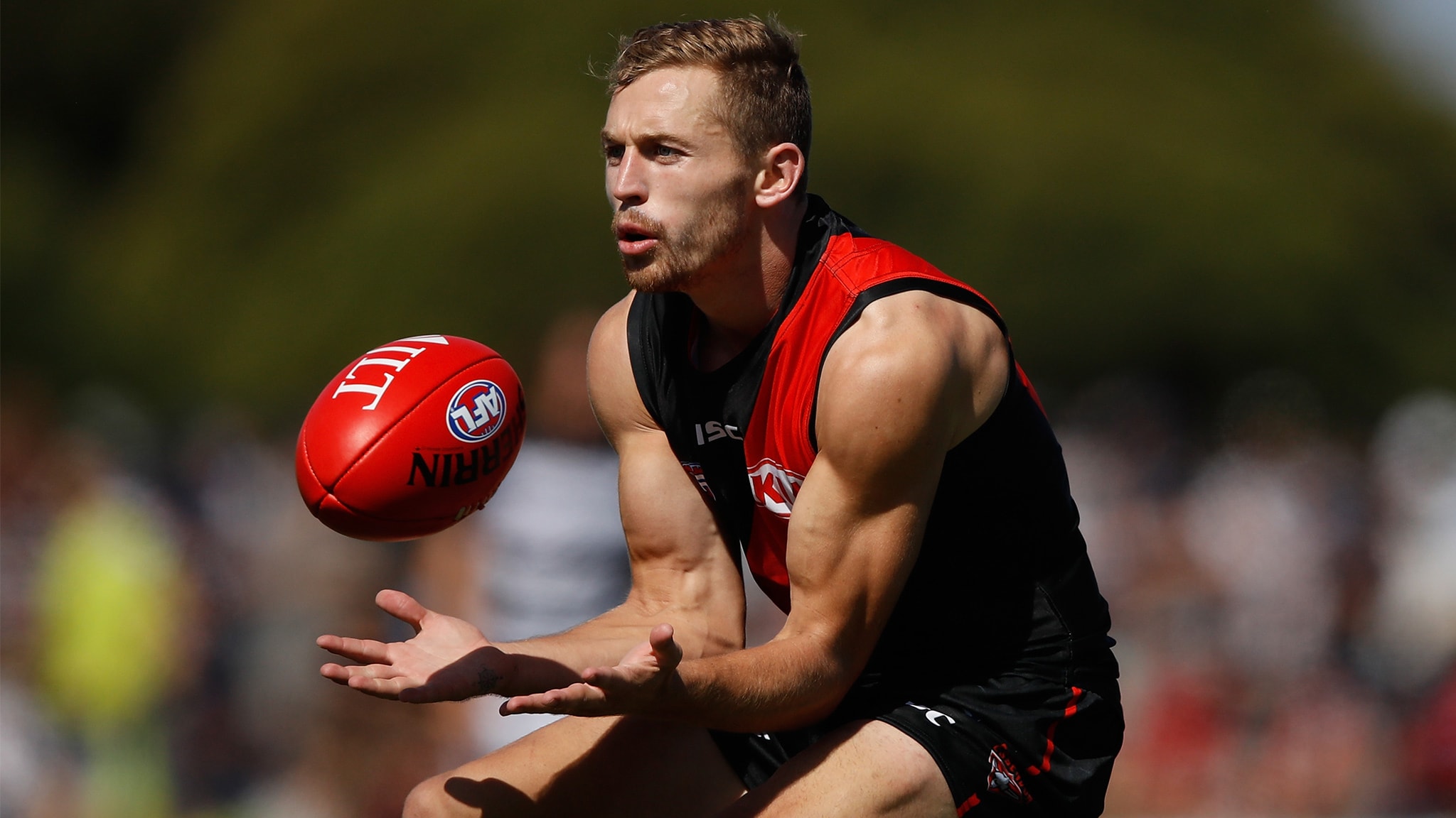 Season preview: Essendon