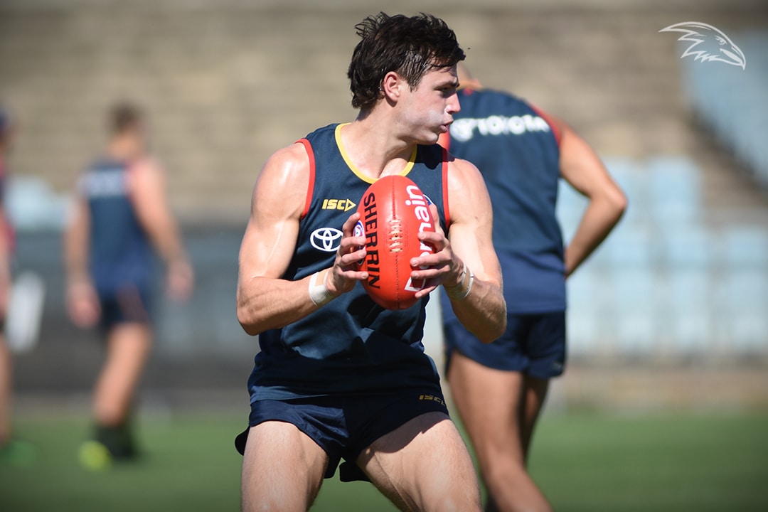 Gallery: Training, December 6