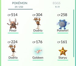 The Pokémon Masters of the Gabba