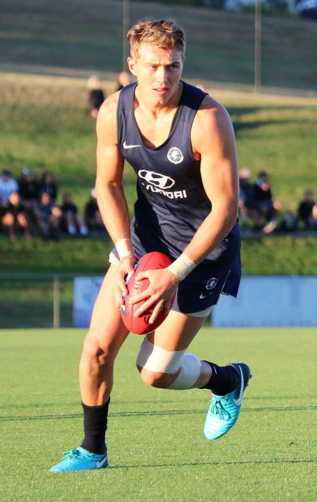 Gallery: Tassie training