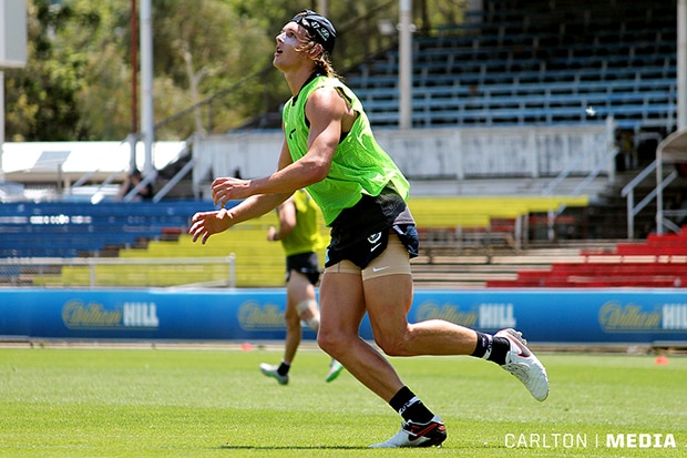 Gallery: Open training