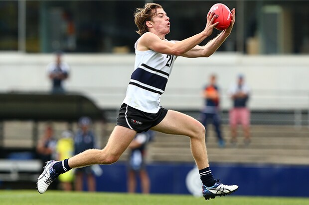 Bradley Jr. set for run in Development League