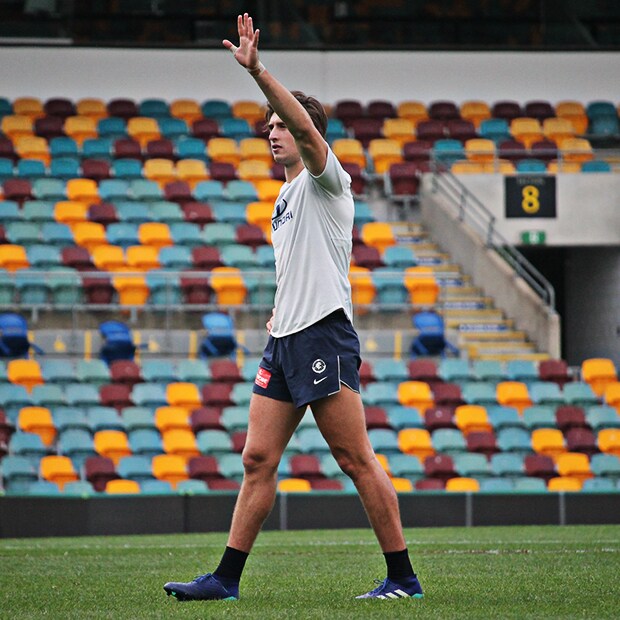 Gallery: Blues in Brisbane