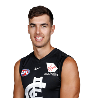 Tom Williamson | Carlton Blues | Player profile, AFL contract, stats ...