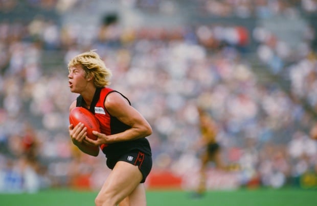 Harvey through the years