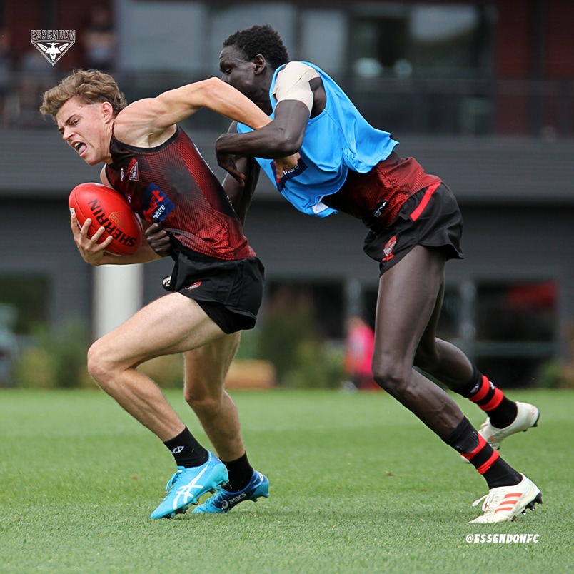 Gallery: Monday training