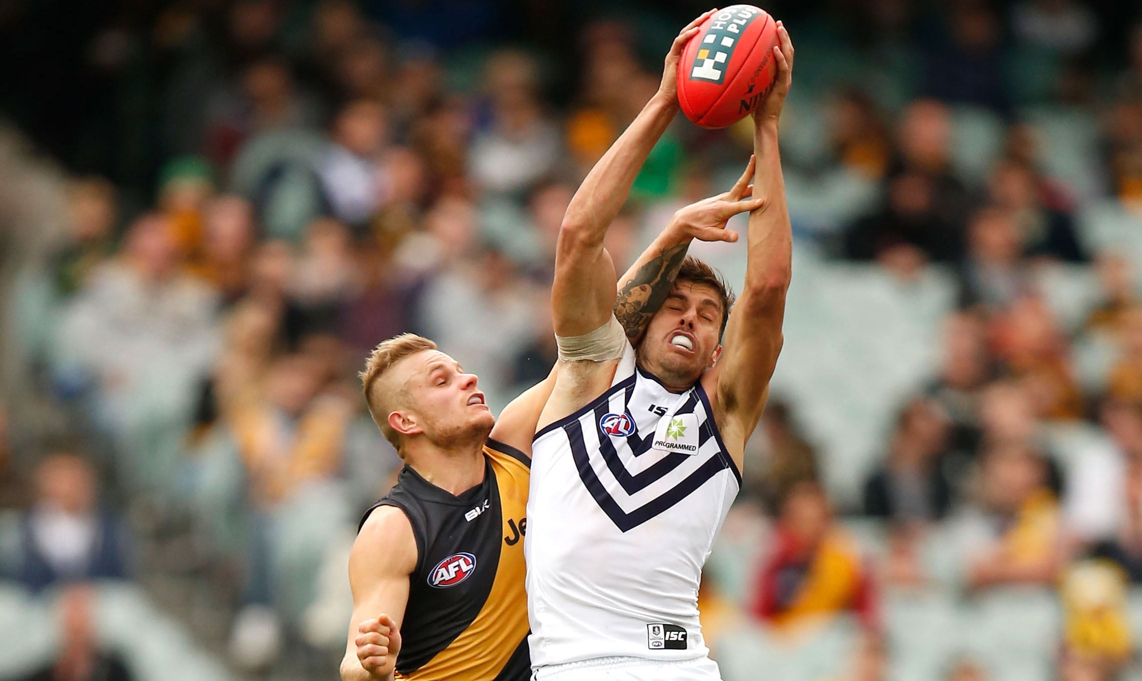 FIVE reasons we love Ibbo