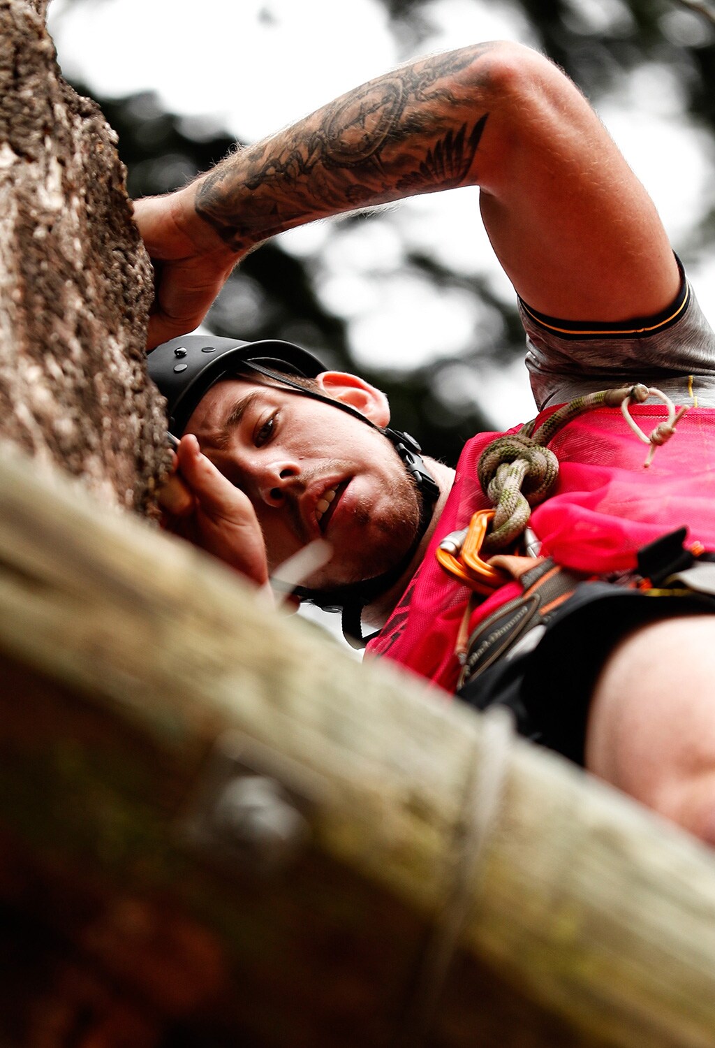 GALLERY: Stunning pics of Hawks in NZ