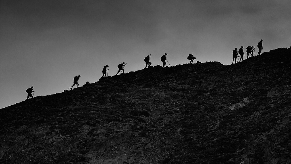 GALLERY: Stunning pics of Hawks in NZ