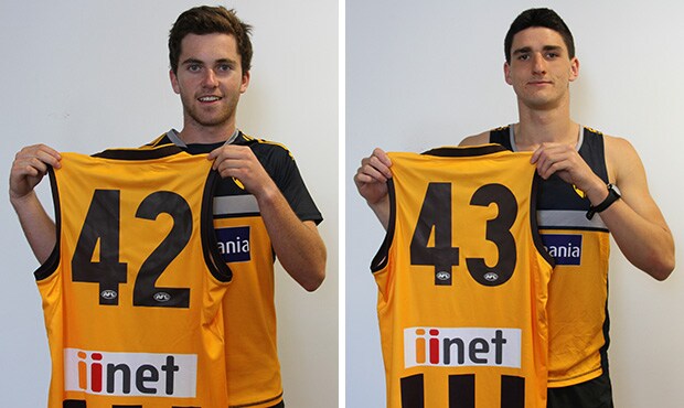 2015 guernsey numbers revealed