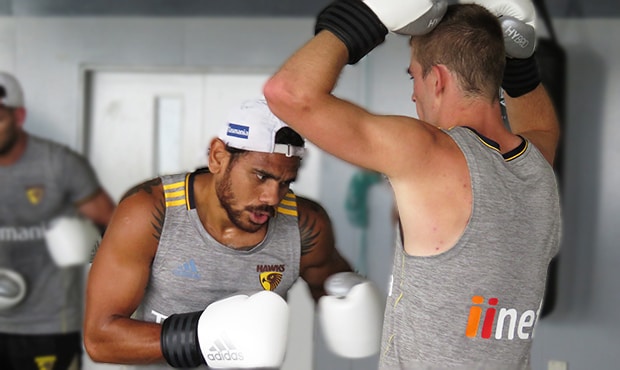 Gallery: Wednesday boxing
