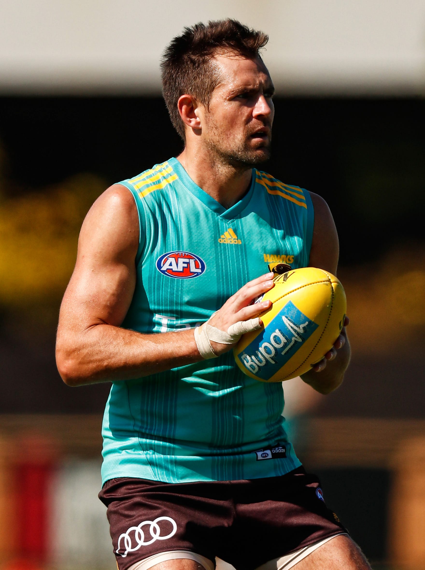 Gallery: Inside Waverley Park