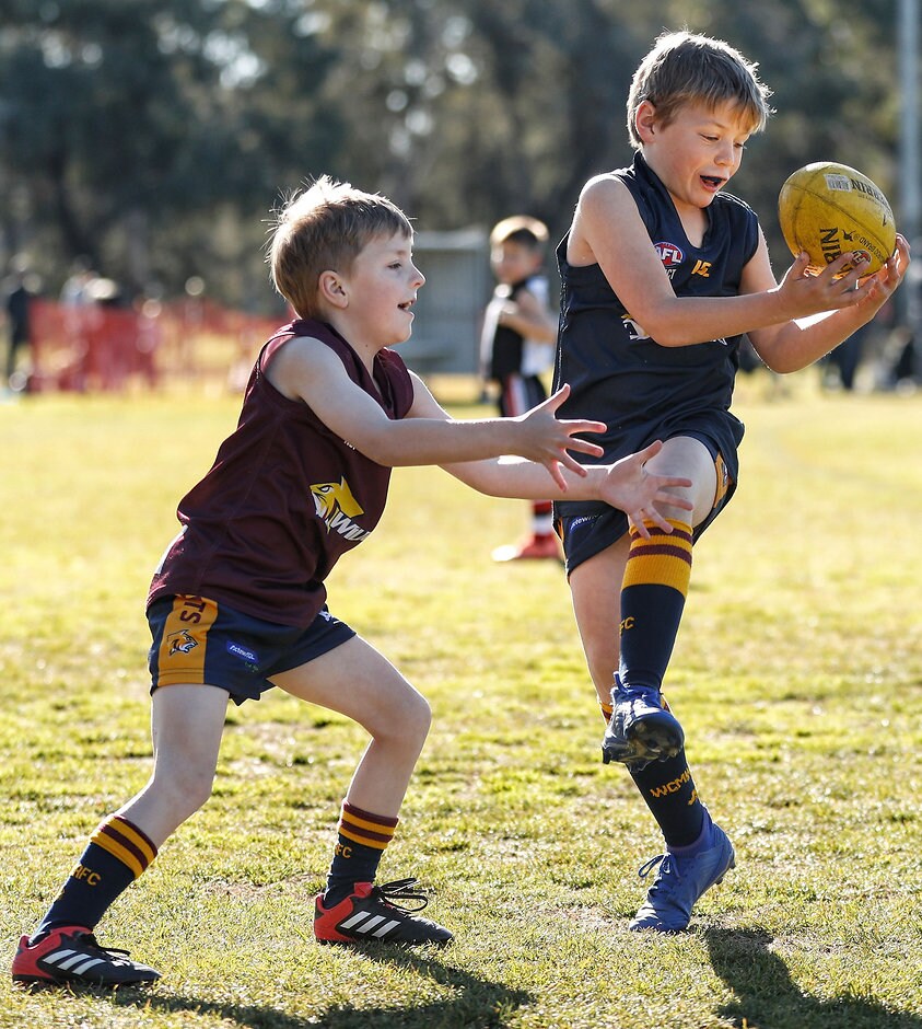 PHOTO GALLERY: How U10 shoelaces in Canberra made headlines