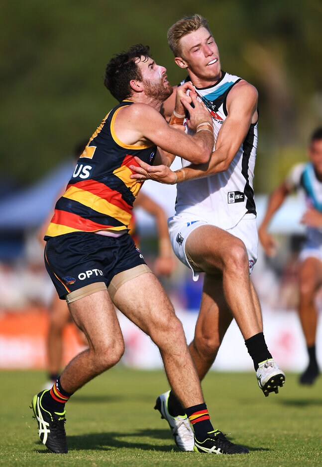 Small forward could debut for Crows, forgotten veterans also fly to ...