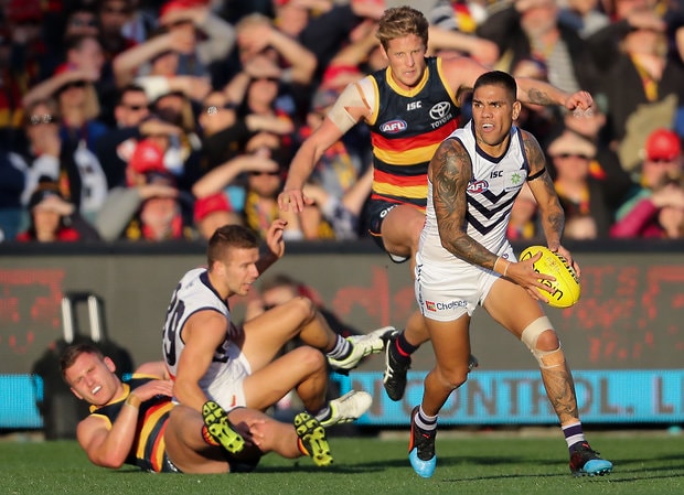 Gallery v Crows