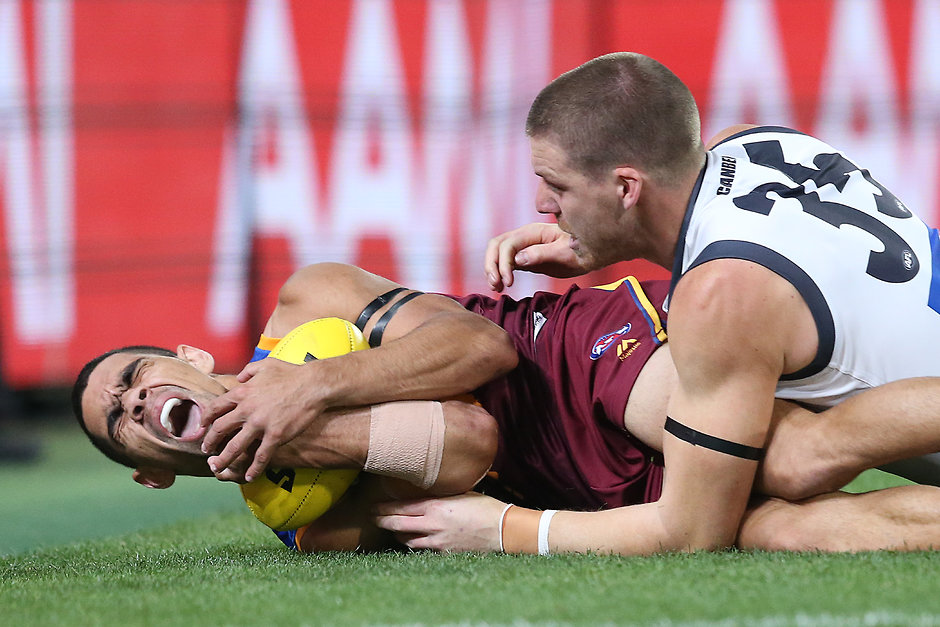 Lion livewire's miraculous recovery after sickening arm injury