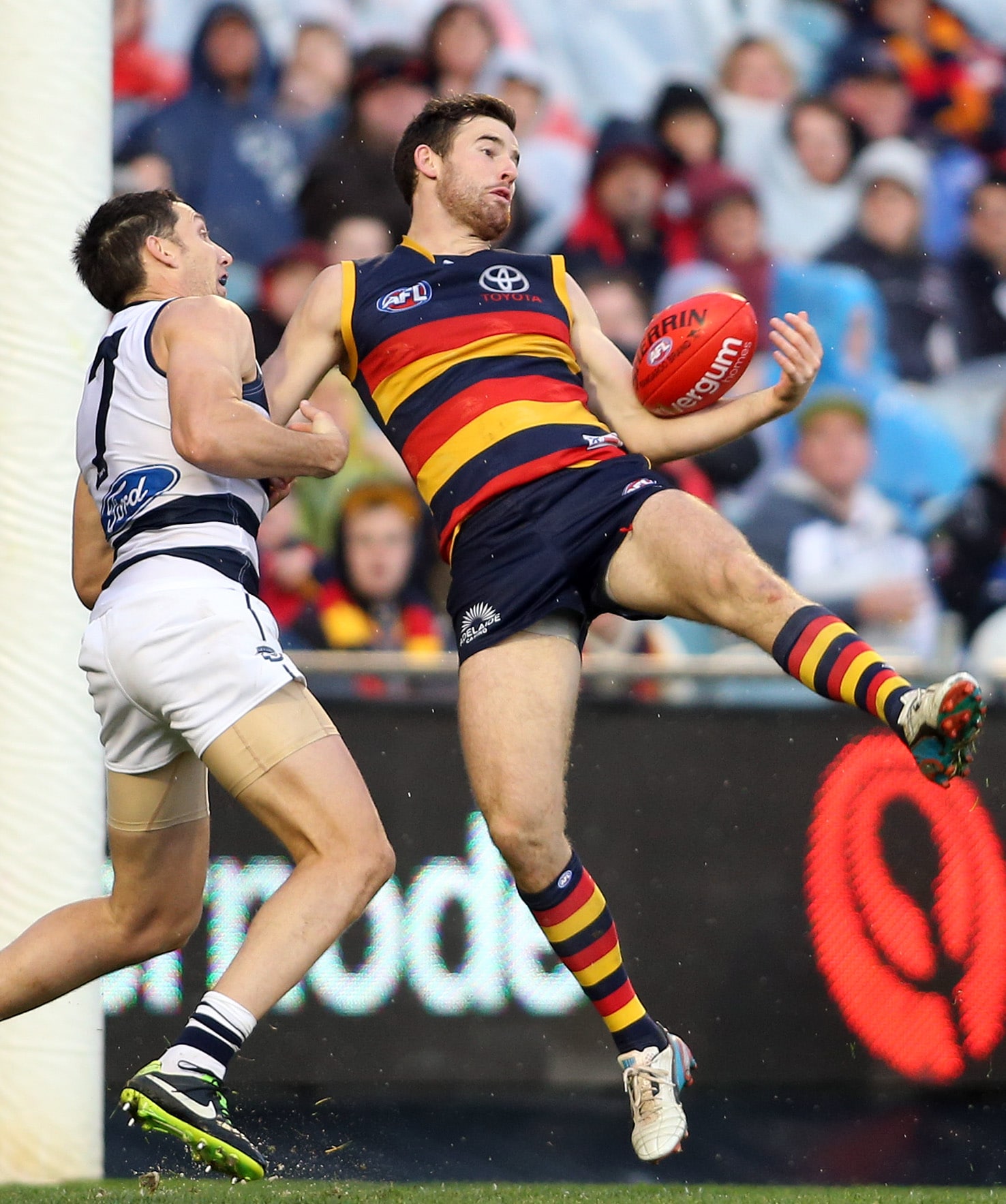 Gallery: Best of Andy Otten
