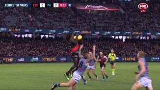 Official AFL Website of the Essendon Football Club