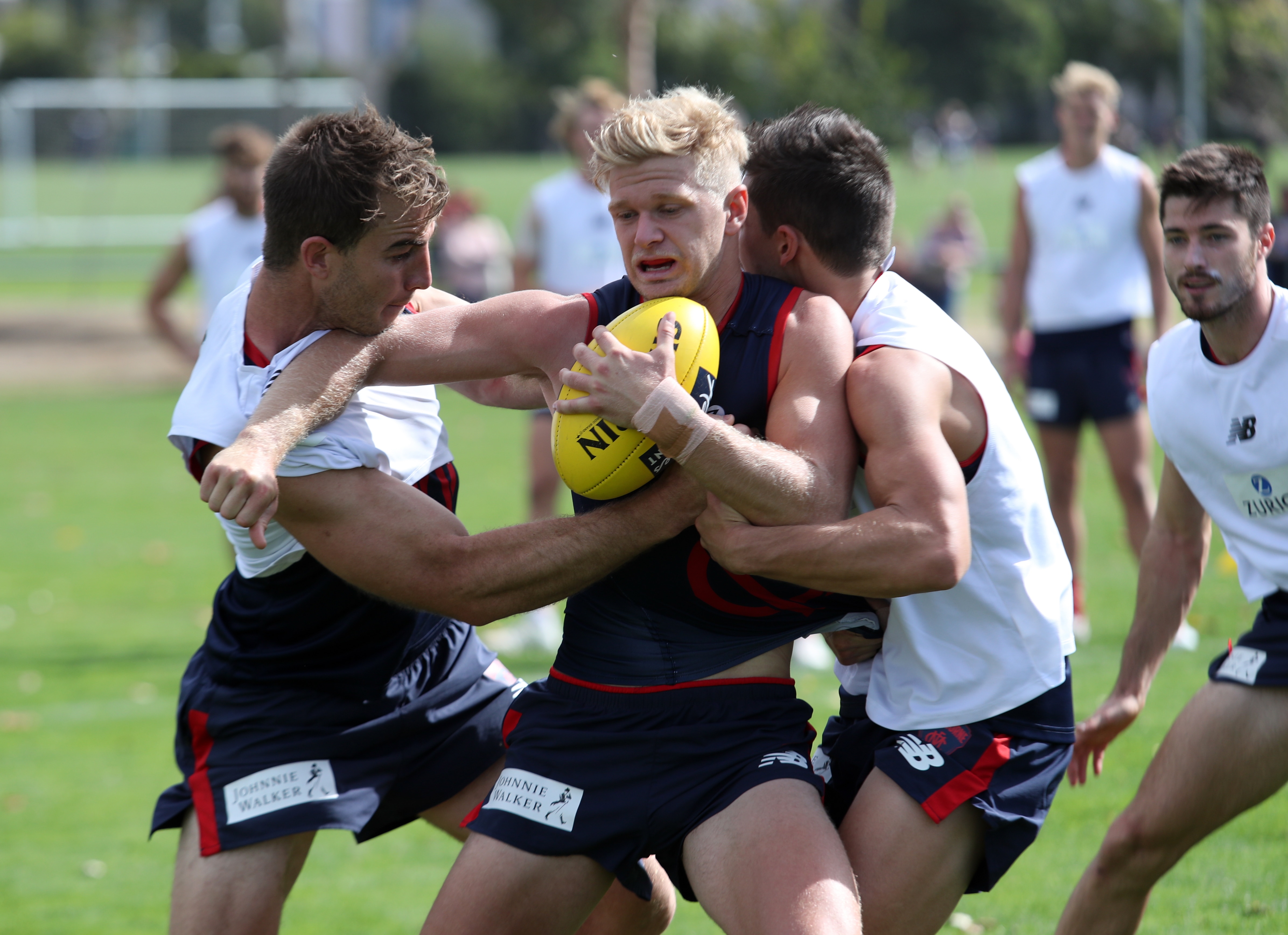 Training Gallery: Round 5